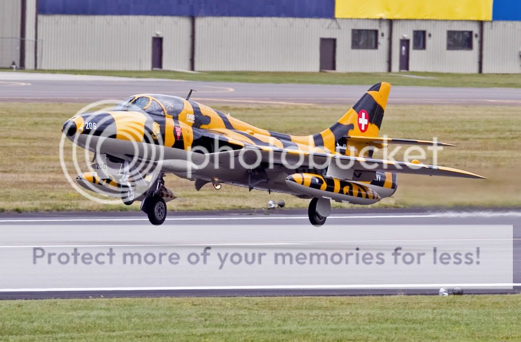 Swiss Tiger Hunter - Aviation Photography - Britmodeller.com