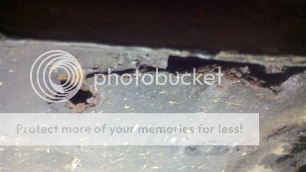 Rusted floor board | Ford Mustang Forums