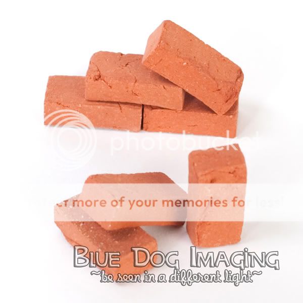 >Tiny little bricks | Blue Dog Imaging Blog