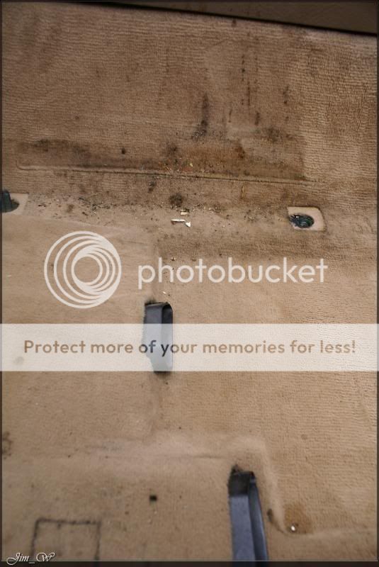 E36 BMW 328 Cream Interior Detail | BMW Forums : BimmerForums