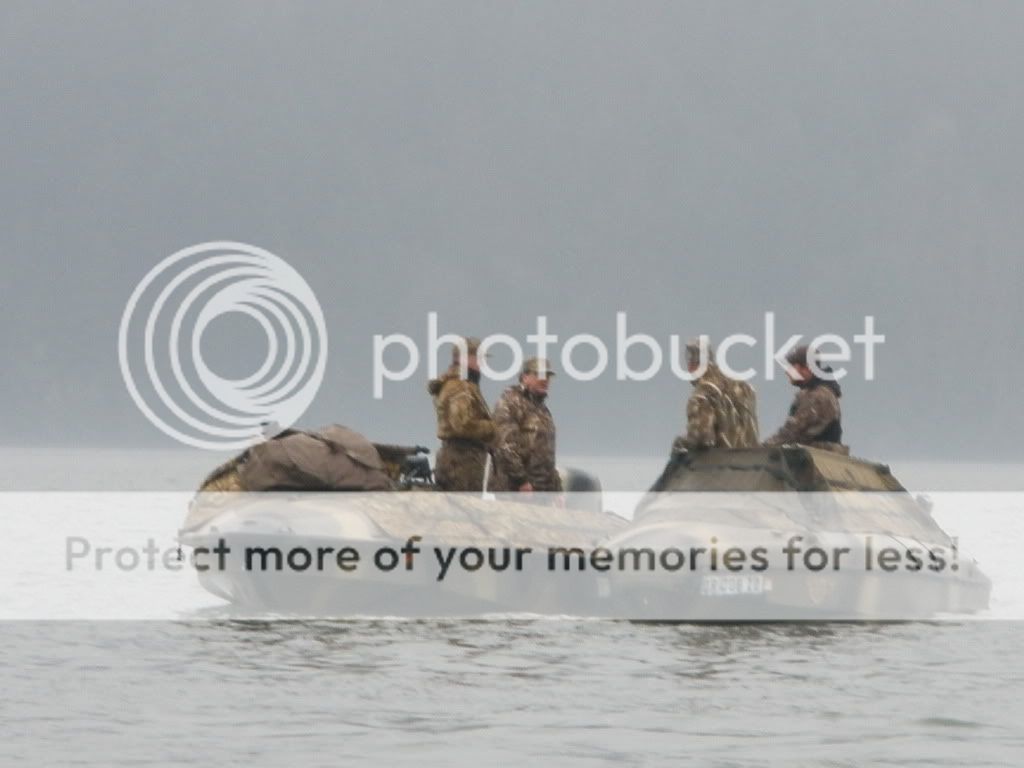 Bankes Dominator | Duckboats