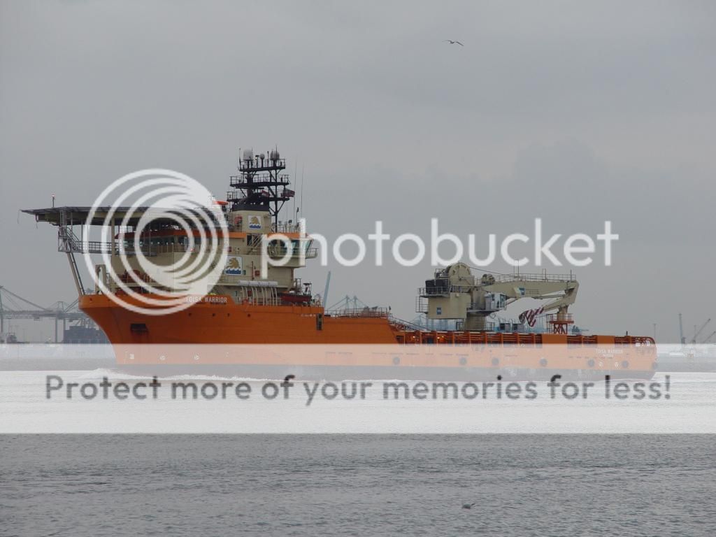 Spotten in De Hoek. - Pagina 236 - SCHEEPVAART FORUM