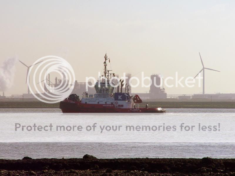 Spotten in De Hoek. - Pagina 49 - SCHEEPVAART FORUM