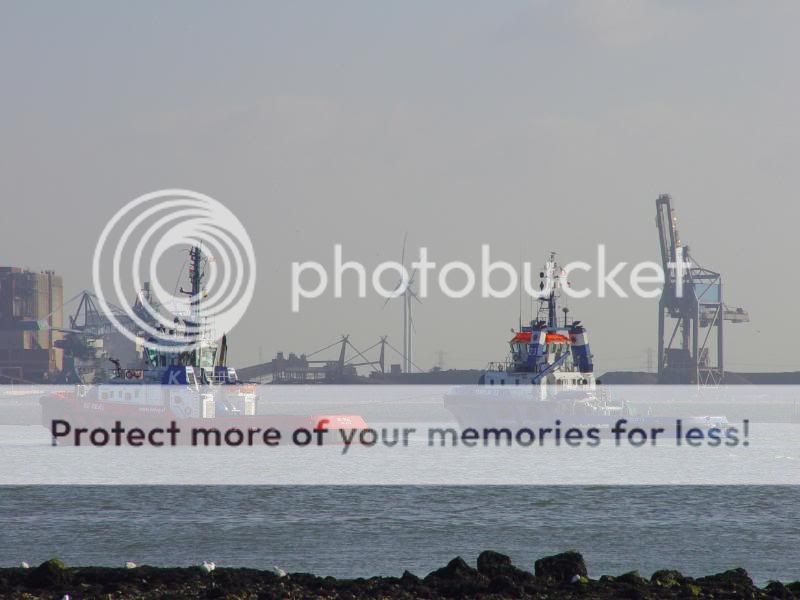 Spotten in De Hoek. - Pagina 49 - SCHEEPVAART FORUM