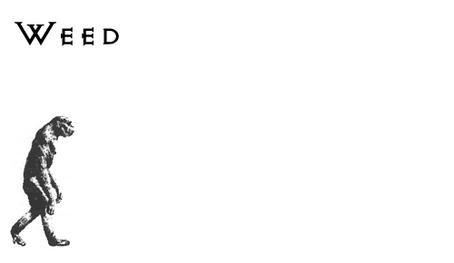 Evolution Animation gif by wowlive | Photobucket