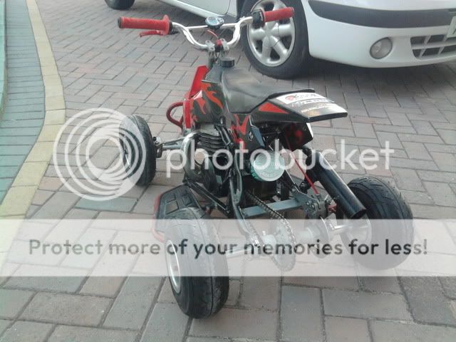 80cc Mini Moto Quadard | Scooter Shack Scooter Forum